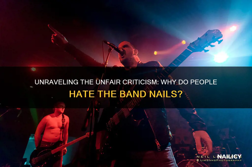 Unraveling The Unfair Criticism: Why Do People Hate The Band Nails ...