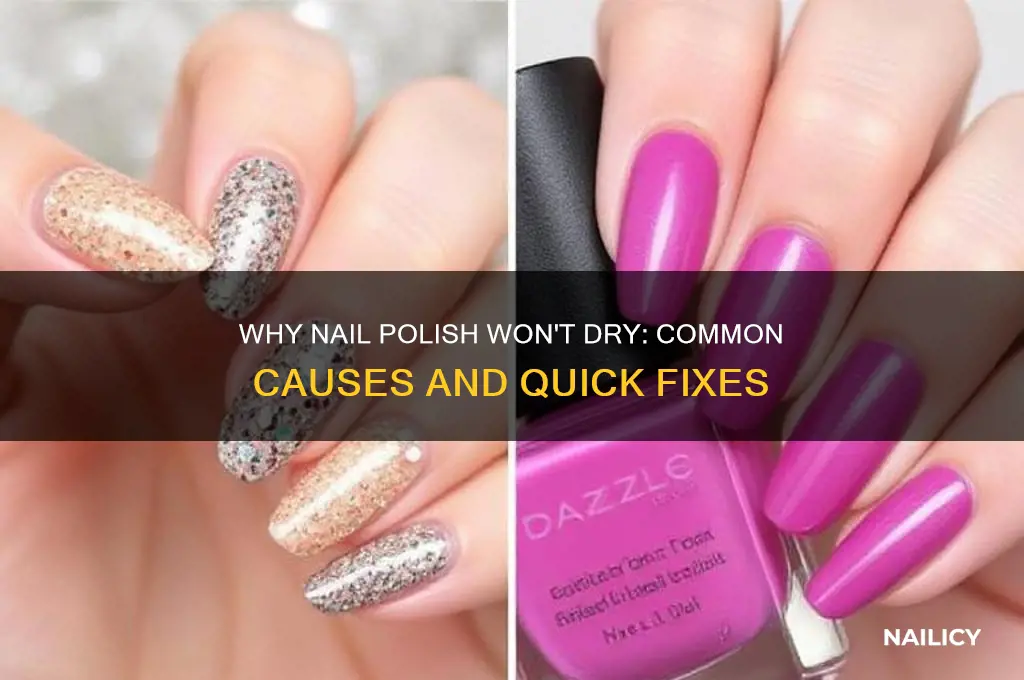 Why Nail Polish Won't Dry: Common Causes And Quick Fixes | Nailicy