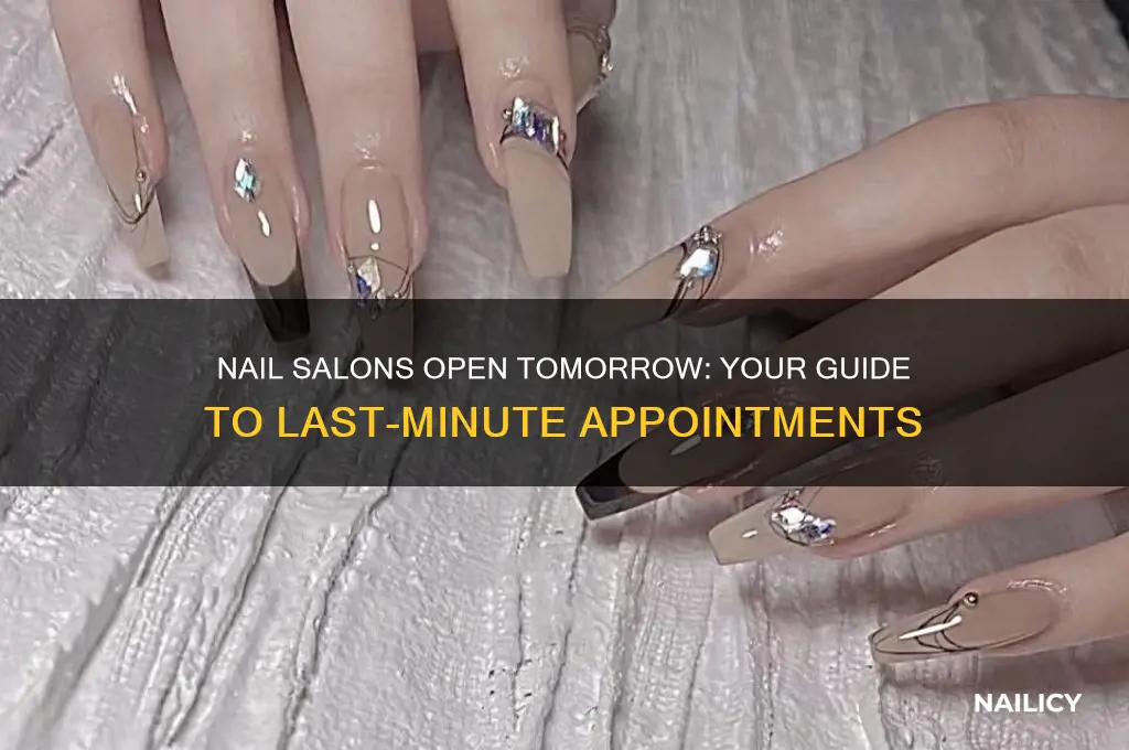 Nail Salons Open Tomorrow: Your Guide To Last-Minute Appointments | Nailicy