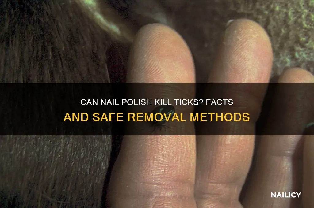 Can Nail Polish Kill Ticks? Facts And Safe Removal Methods | Nailicy