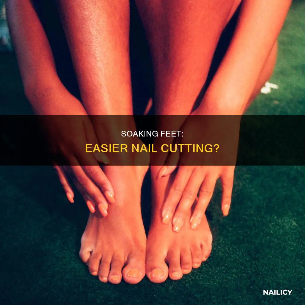 Soaking Feet: Easier Nail Cutting? | Nailicy